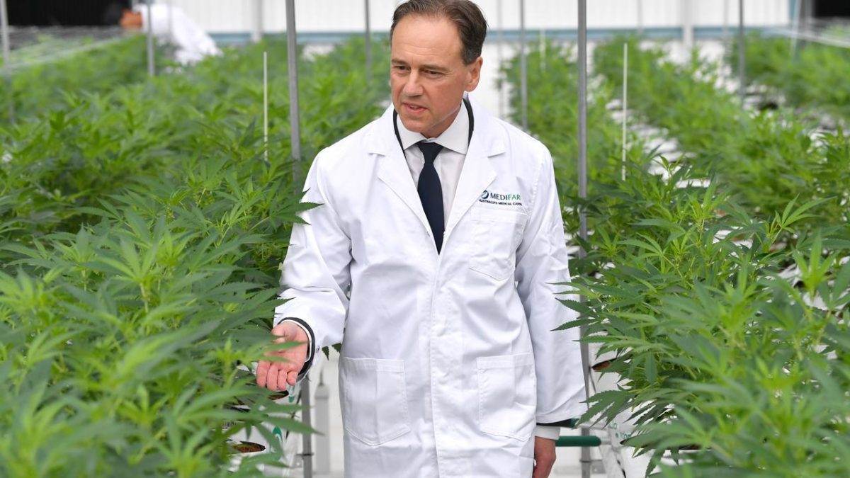 Montu establishes telehealth working group chaired by Greg Hunt | Cannabiz