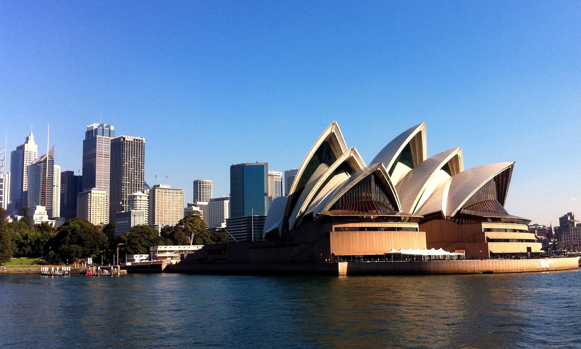 Authorised Prescriber numbers continue to rise as NSW sees spike in SAS ...